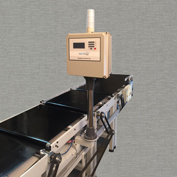 Dynamic Online Check Weighing System, Check Weigher, Highly Accurate In ...