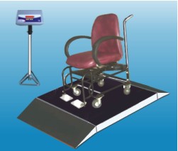 Portable Platform Scale With Ramp, Flat & Large Platform With Inbuilt ...